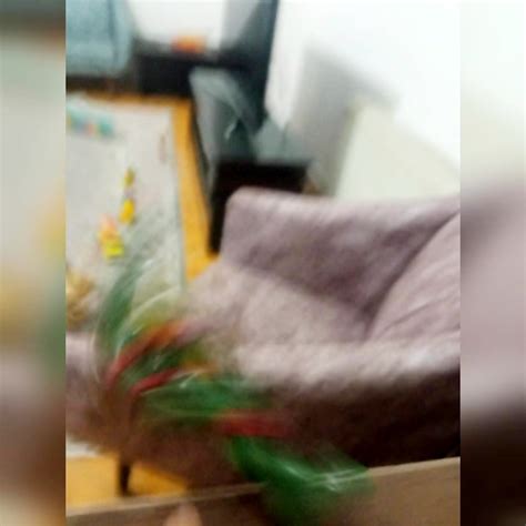 استاپ موشن لاکپشت های نینجا رافائل