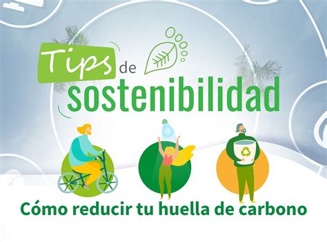 Tips de sostenibilidad cómo reducir tu huella de carbono