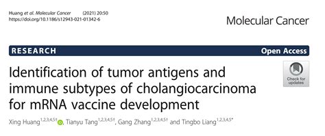 跟着molecular Cancer学作图 分半小提琴图geomsplitviolin Csdn博客