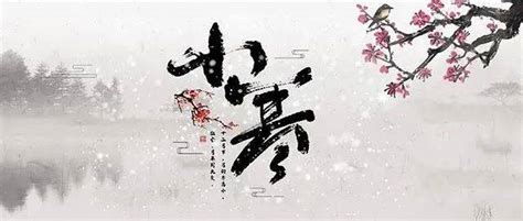 兖图“二十四节气” 小寒：小寒料峭，一番春意换年芳雉隐冷成冰南京
