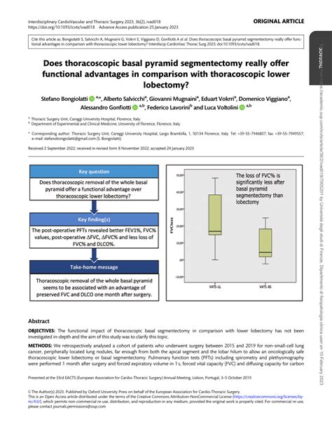 Pdf Does Thoracoscopic Basal Pyramid Segmentectomy Really Offer