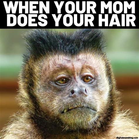 20 Hilarious Monkey Memes To Instantly Brighten Your Day