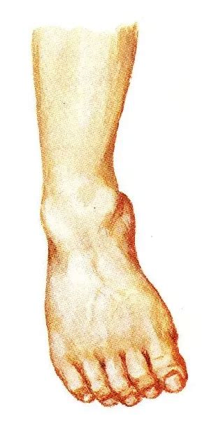 Отводящий нерв