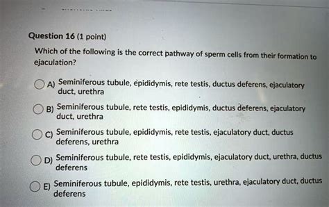 Solved Question 16 1 Point Which Of The Following Is The Correct