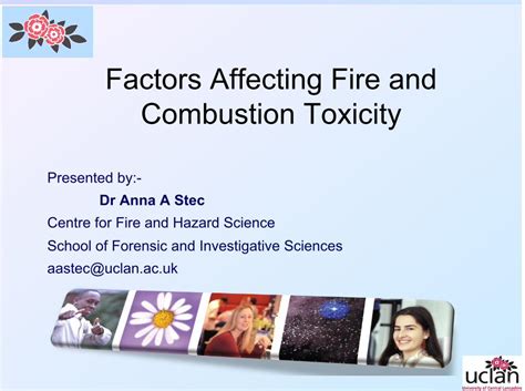 Pdf Factors Affecting Fire And Combustion Toxicity Fireseat