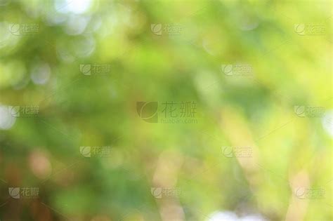 背景图像模糊散焦