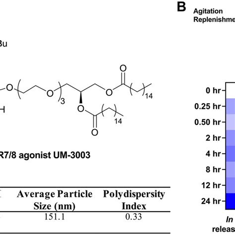 The Optimized Phospholipidated TLR7 8 Agonist UM 3003 Rapidly And Fully