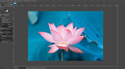 Program Graficzny Gimp Poradnik Dla Początkujących Nano