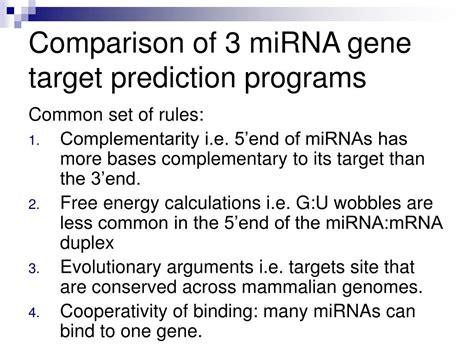 Ppt Computational Prediction Of Mirnas And Their Targets Overview Of Tools And Biological