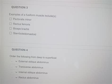 [solved] Question 3 Examples Of A Fusiform Muscle Include S O