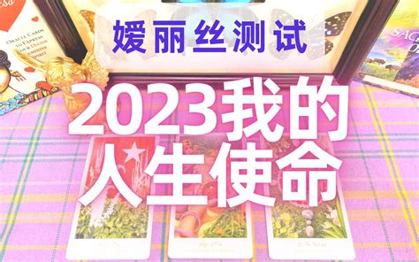2023我的人生使命显化怎样的丰盛 哔哩哔哩