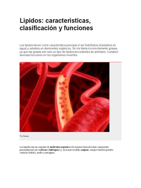 Lipidos Pdf