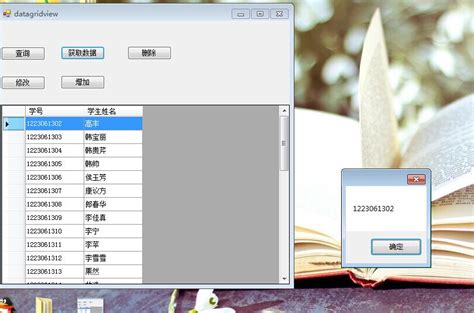 Datagridview Xcml