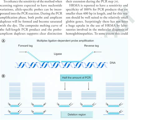Principle Of Multiplex Ligation Dependent Probe Amplification Two Download Scientific Diagram