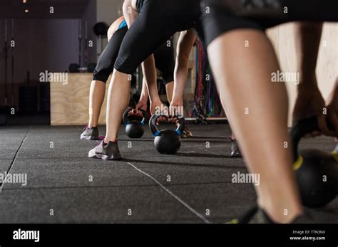 Cross Section Of A Female Body Hi Res Stock Photography And Images Alamy