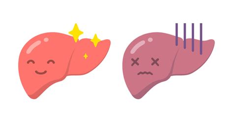 고지혈증약의 새 효능…“간질환자 ‘간암 예방 효과”