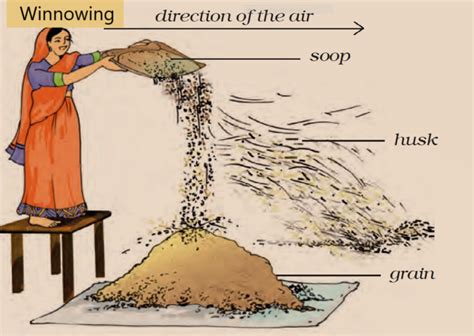 Ncert Solutions Class 6 Science Separation Of Substances