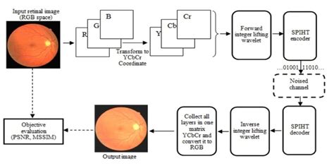 Block Diagram Showing The Principal Retinal Bv Image Compression