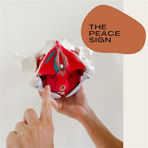 Prevent Tearing During Delivery With Perineal Massage — Birth Boss