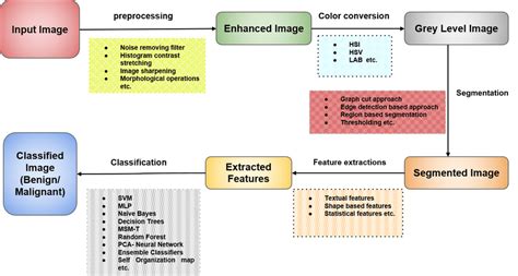 Image Analysis Steps Of A Typical Segmentation Based Image Processing Download Scientific