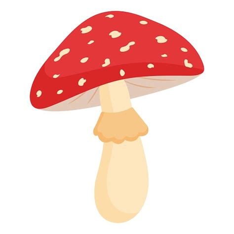 Premium Vector Cute Fly Agaric Mushroom Vector Illustration