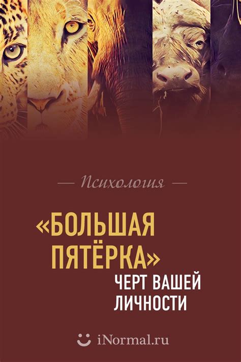 «Большая пятёрка» черт вашей личности | Личности, Психология, Чувства