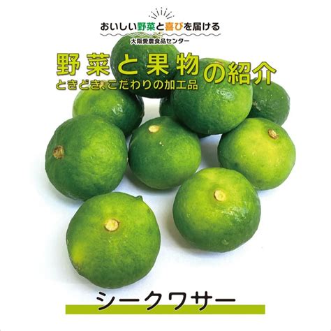 シークヮーサーという果物をご存知でしょうか？ ブログ 野菜の宅配なら株式会社大阪愛農食品センター