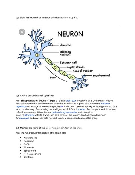 Neuro Model Paper Q1 Draw The Structure Of A Neuron And Label Its
