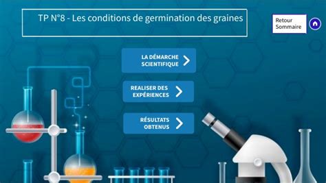 6eme Semaine 28 Tp 8 Germination Graines