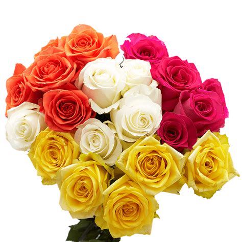 75 Assorted White Roses Globalrose Wholesale Roses