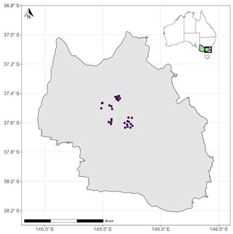Canopy Composition And Spatial Configuration Influences Beta Diversity In Temperate Regrowth
