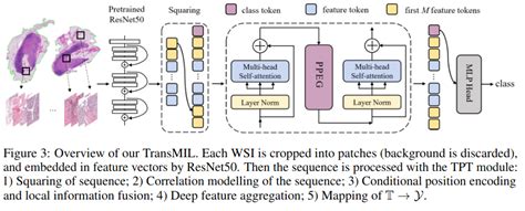weakly supervised classification in whole slide image wsi
