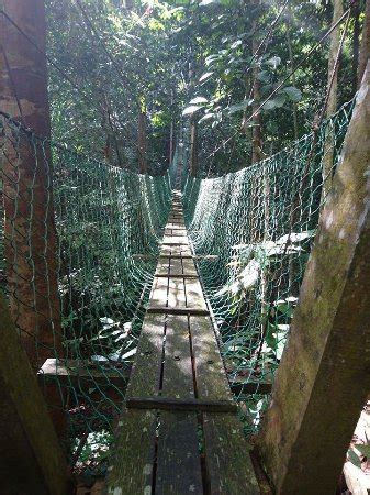 Borneo Tropical Rainforest Resort UPDATED 2017 Hotel Reviews Price Comparison And 56 Photos