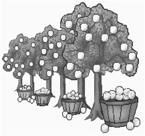 Six Trees Sawan Books