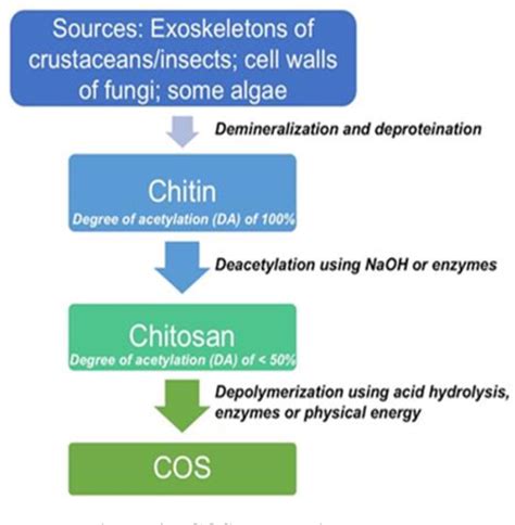 Figure 2 From Chitosan Oligosaccharides As A Nanomaterial Platform