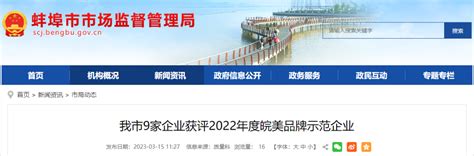 省级示范！蚌埠9家入选！ 安徽科达自动化集团股份有限公司