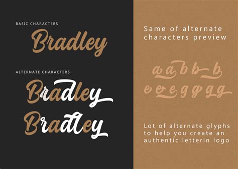 Bradley Typeface 314374 Script Font Bundles