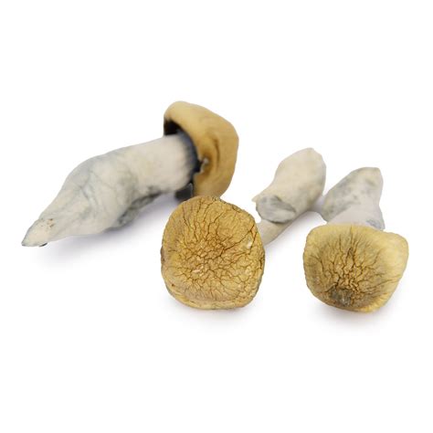 Tidal Wave Budget Greens