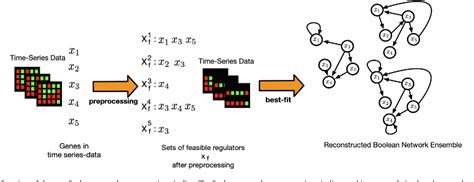 Figure 2 From Reconstructing Boolean Network Ensembles From Single Cell Data For Unraveling