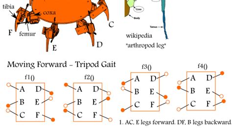 Hexapod Arduino Verycome