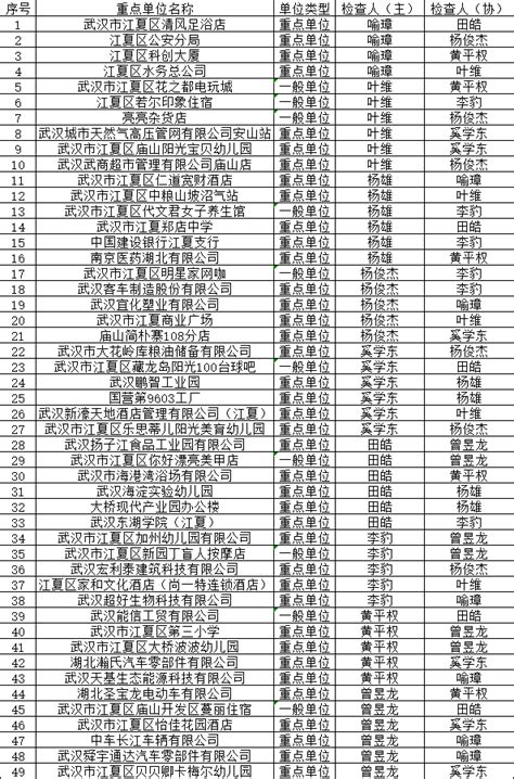 江夏区消防救援大队2021年1月双随机一公开监督抽查结果及2021年2月监督抽查任务公示 监管