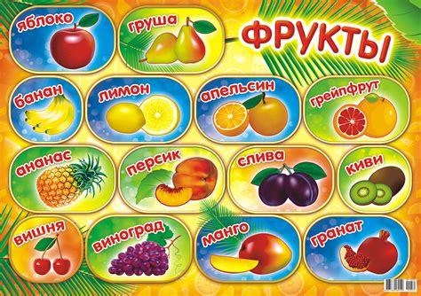 Фрукт на букву з Какие фрукты начинаются на букву «З — Готовим сами