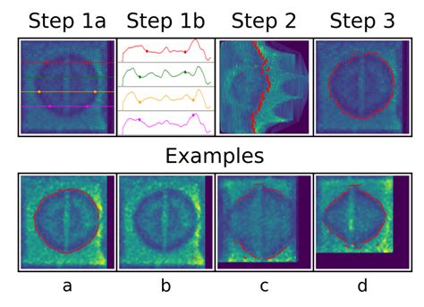 A Representation Of The Algorithm In Section III Horizontal Lineouts