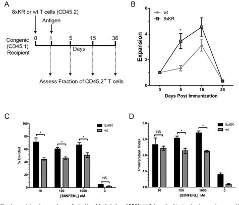 Figure 1 From Ubiquitylation Of Cd98 Limits Cell Proliferation And