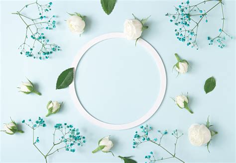 파스텔 블루 배경에 흰색 둥근 프레임과 흰색 장미와 파란색 꽃으로 만든 창조적 인 구성 최소한의 봄 꽃 개념 복사 공간 0명에 대한 스톡 사진 및 기타 이미지 Istock