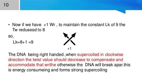 Dna Supercoiling