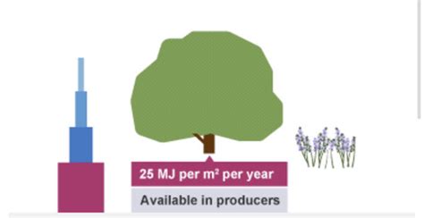 Trophic Levels In An Ecosystem Flashcards Quizlet