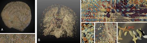 Visualizing Brain Microstructure In 3d A Straightforward Extension On