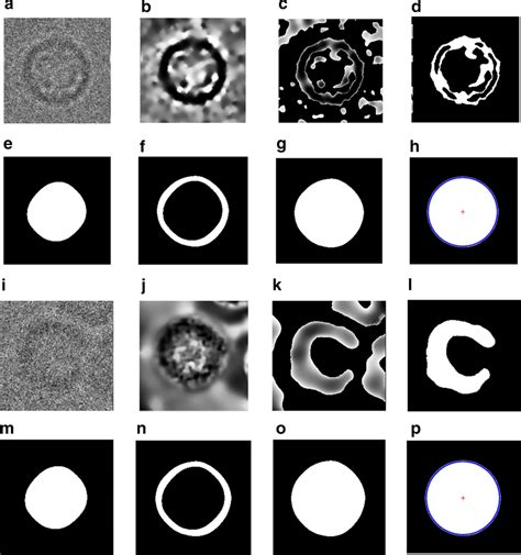 Perfect Good” 2d Top View Particle Selection Based Fully Automated Download Scientific Diagram