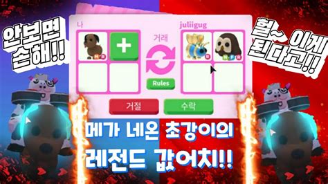 입양하세요 메가 초코 강아지의 값어치를 알아보자 Youtube